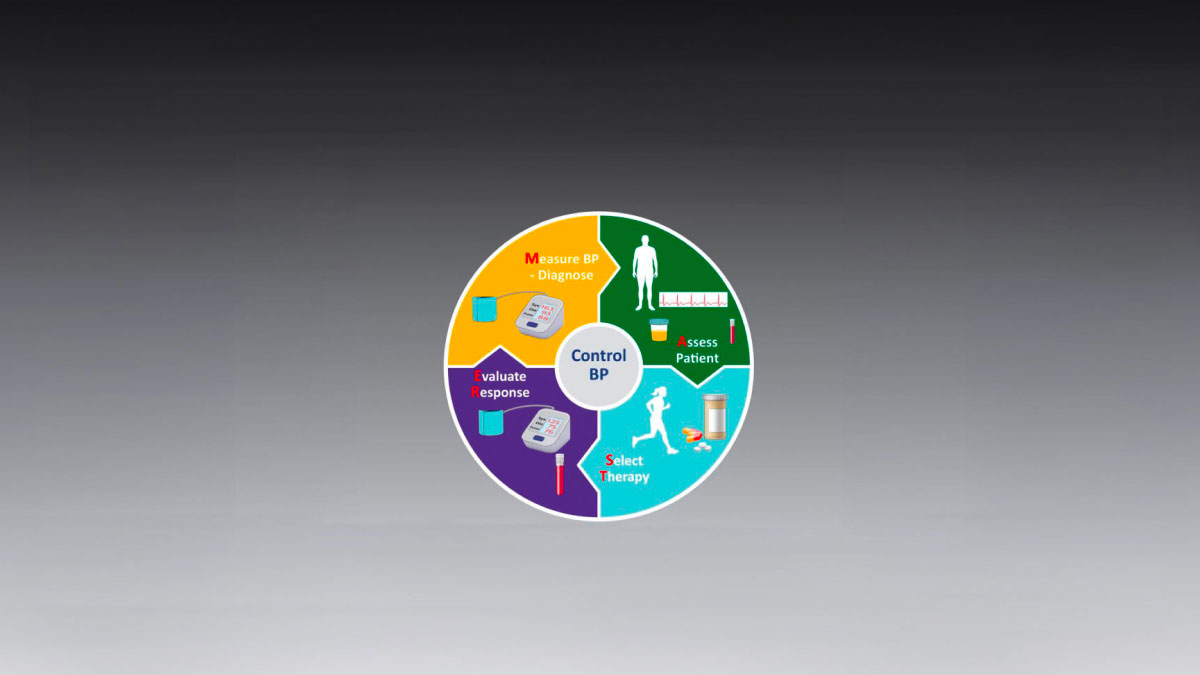 ESH MASTERplan for hypertension management: the essentials